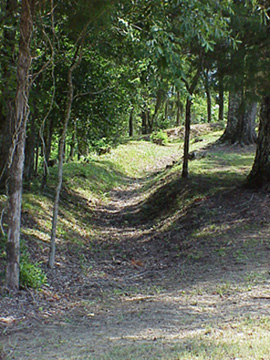 Rifle Pits | Grand Gulf Military Park